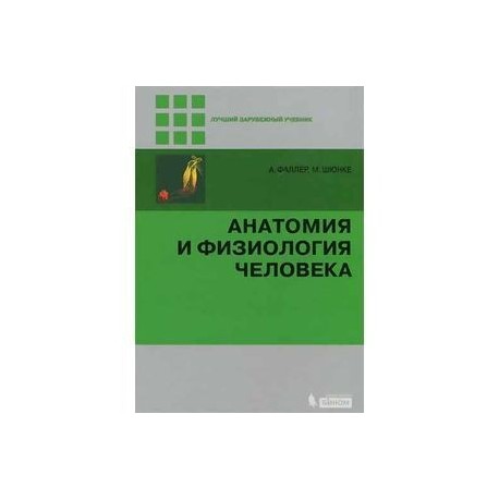 Анатомия и физиология человека е а - 87 фото
